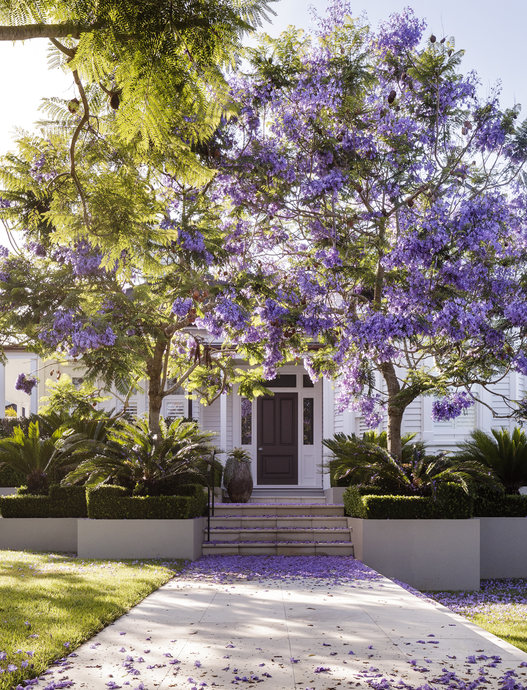 Landscaping Auckland | Award Winning | Humphreys Landscaping